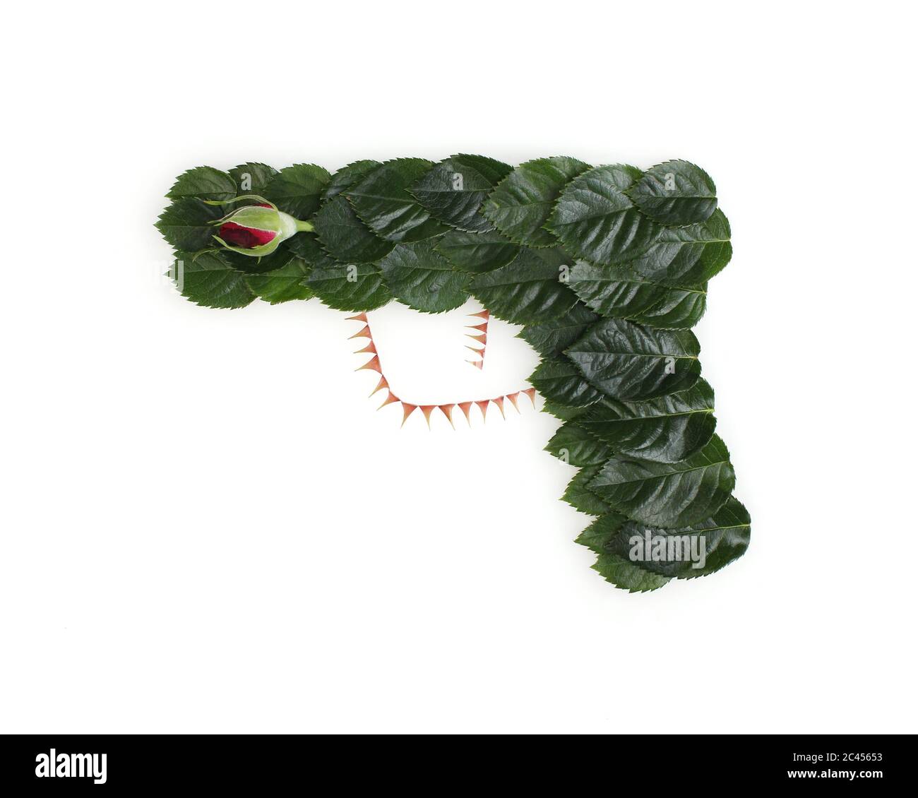Gun. Flower collage on a white background. Stop violence, peace concept ...