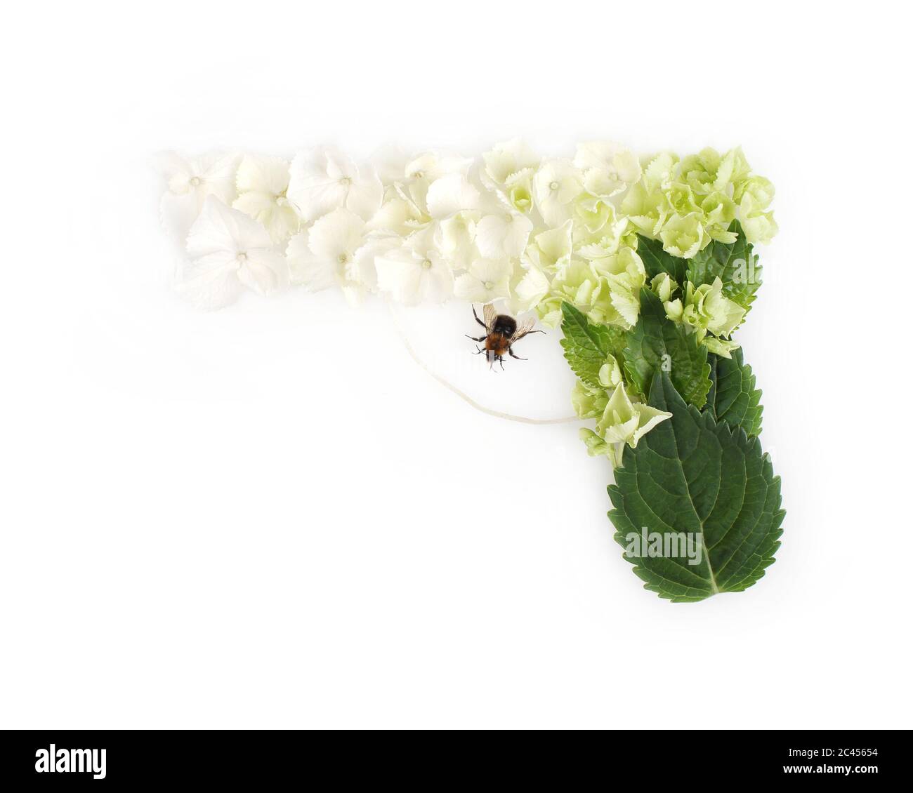 Gun. Flower collage on a white background. Stop violence, peace concept ...