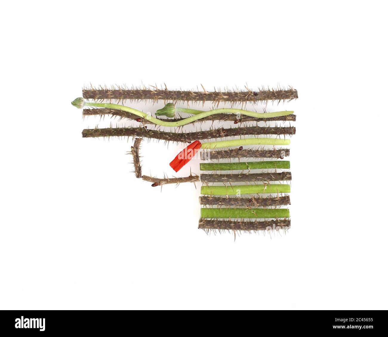 Gun. Flower collage on a white background. Stop violence, peace concept ...