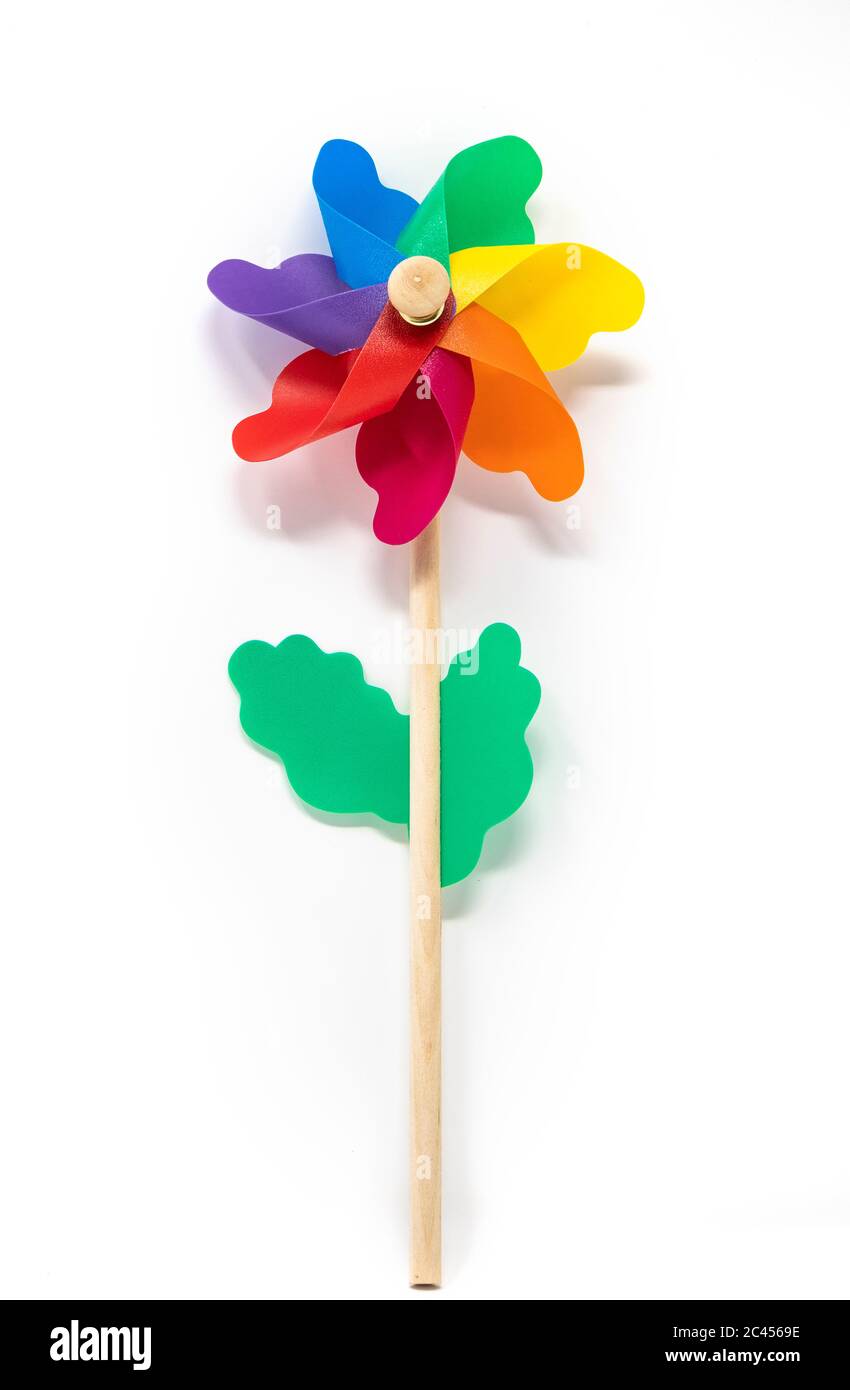 A Catherine wheel wind (pinwheel) isolated on white background. Colors ...