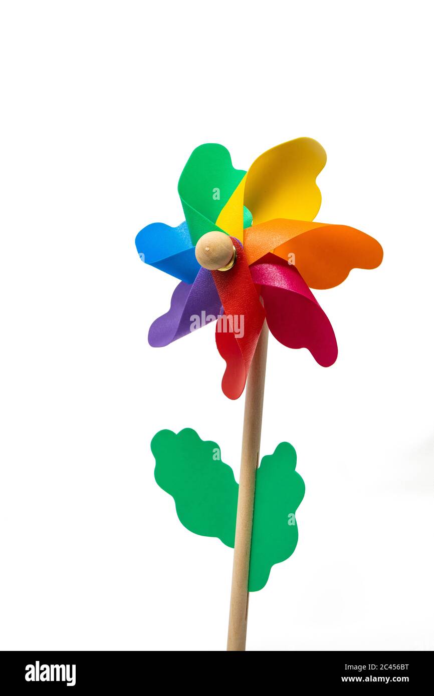 A Catherine wheel wind (pinwheel) isolated on white background. Colors ...