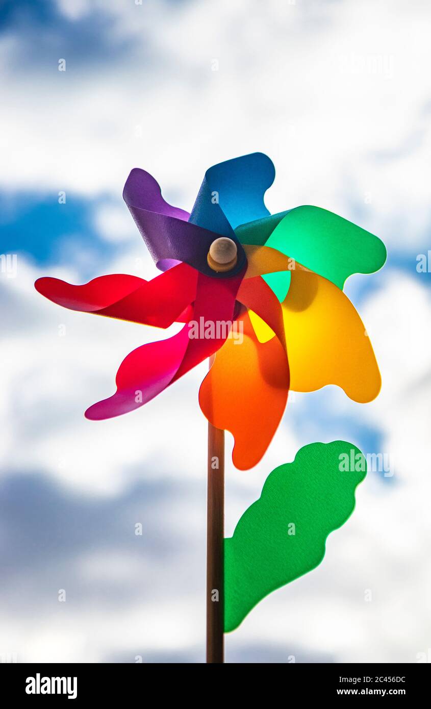 A colored Catherine wheel wind (pinwheel) with wooden stick. Shot from ...