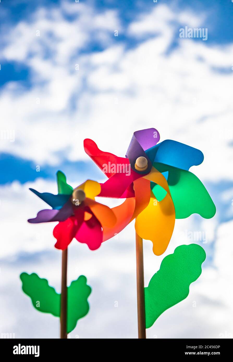 A colored Catherine wheel wind (pinwheel) with wooden stick. Shot from ...