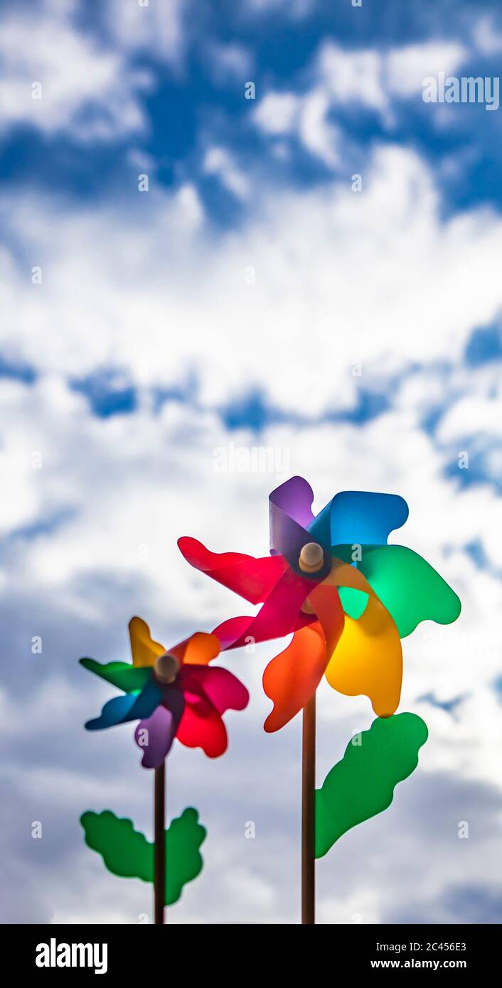 A colored Catherine wheel wind (pinwheel) with wooden stick. Shot from ...