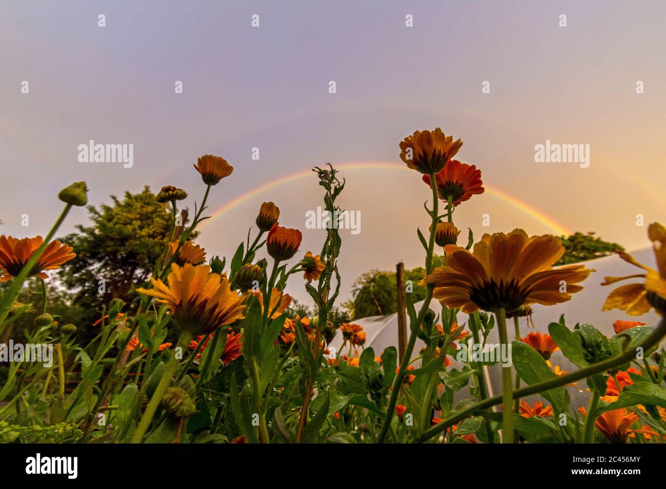 Climate gardening hi-res stock photography and images - Alamy