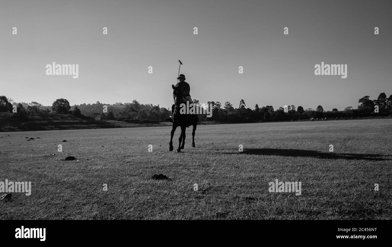 Polo Rider Horse Silhouetted Closeup black and white panoramic field ...
