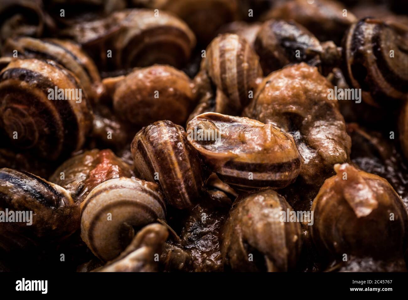 Closeup shot of a dish consisting of snails marinated with hot sauce ...