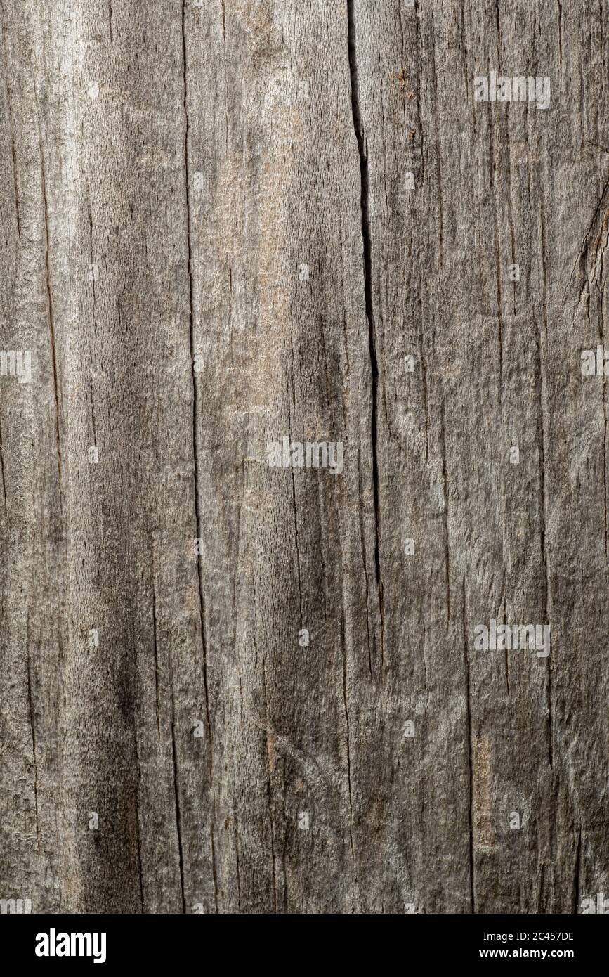 Shot of an old weathered and aged wood with cracks and patterns Stock ...
