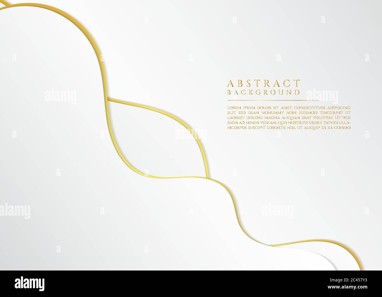 Abstract white background luxury gold overlap layer fluid curve wave style. vector illustration ...