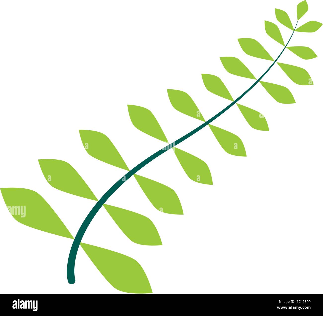 leather fern leaf icon over white background, flat style, vector ...