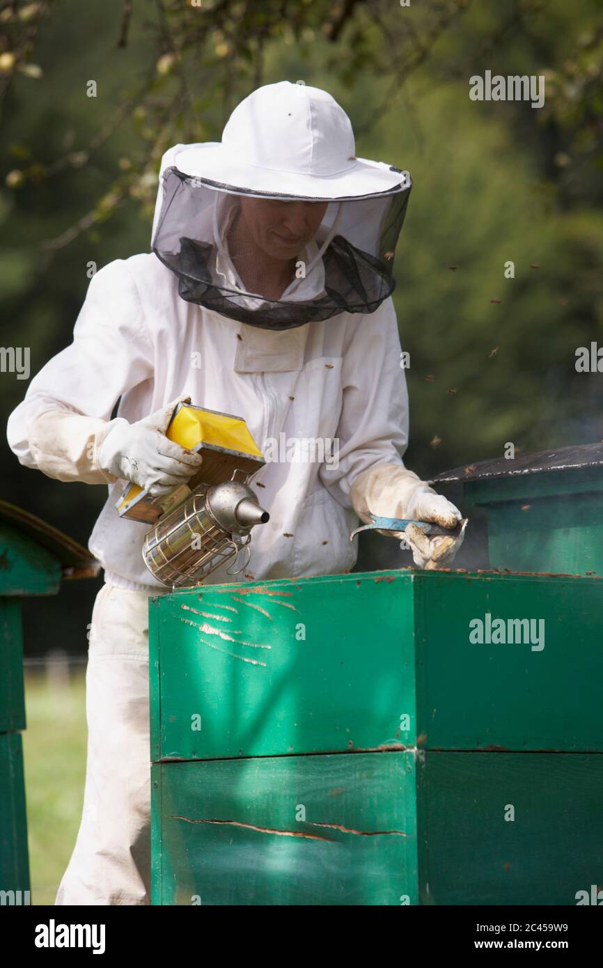 Austria europe bee beehive hi-res stock photography and images - Alamy