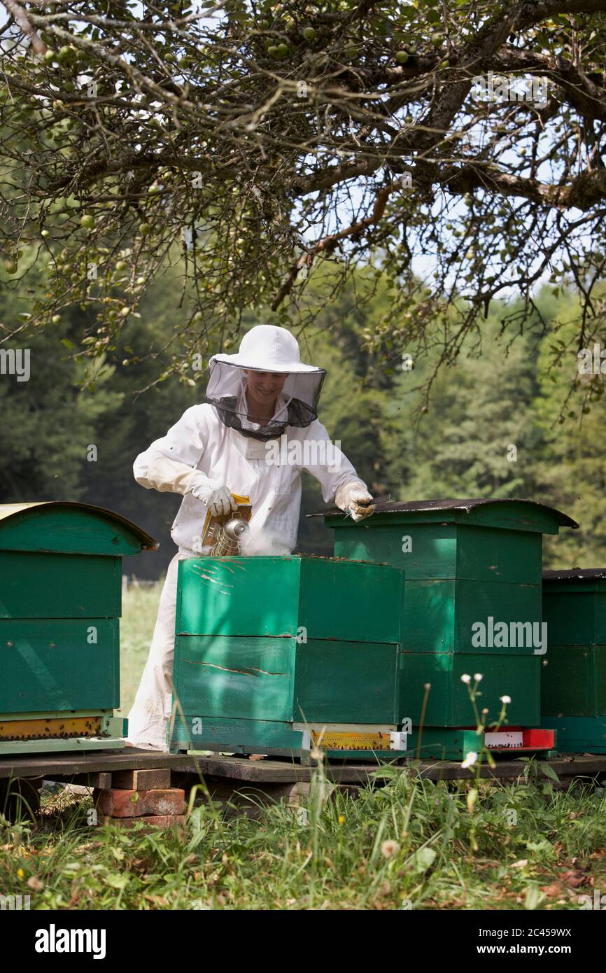 Austria europe bee beehive hi-res stock photography and images - Alamy