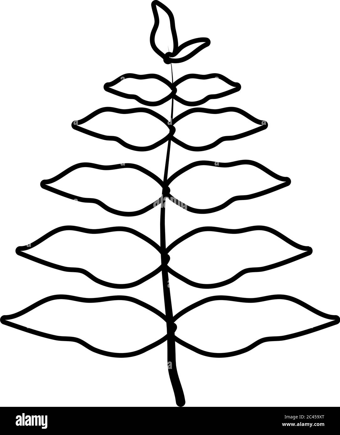 fern frond leaves icon over white background, line style, vector ...