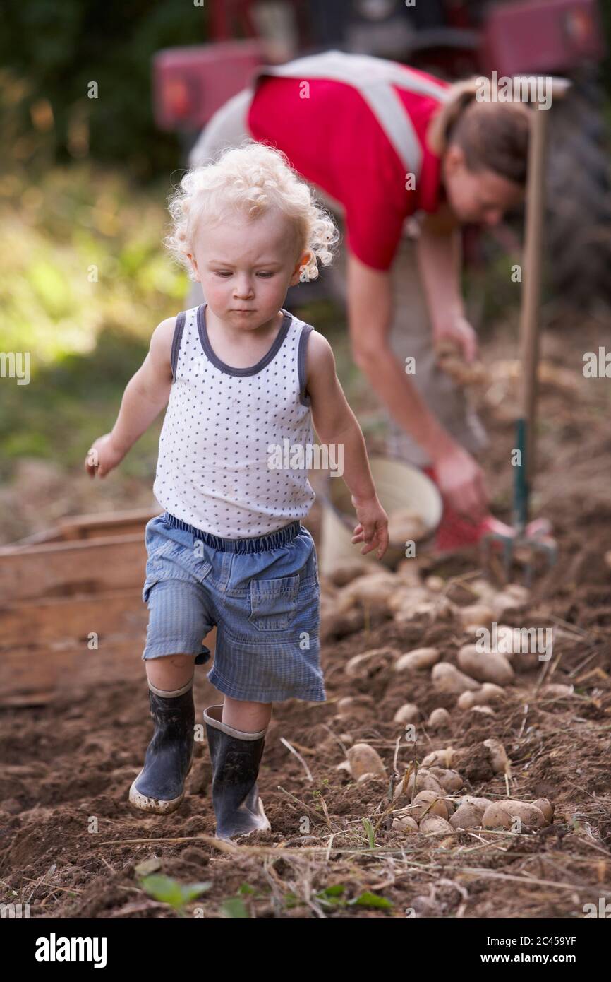 Potato car hi-res stock photography and images - Alamy