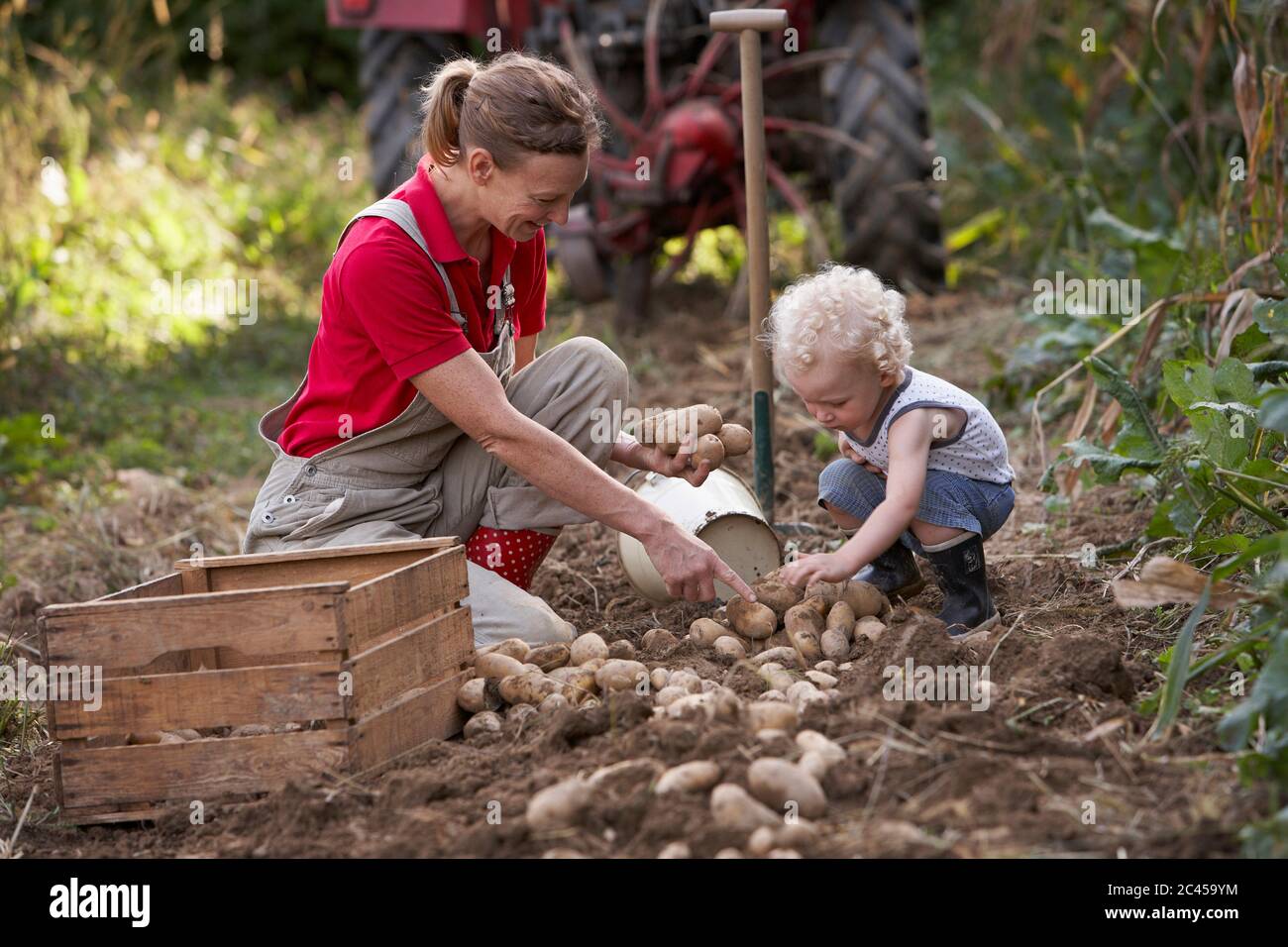 Mom potato hi-res stock photography and images - Alamy