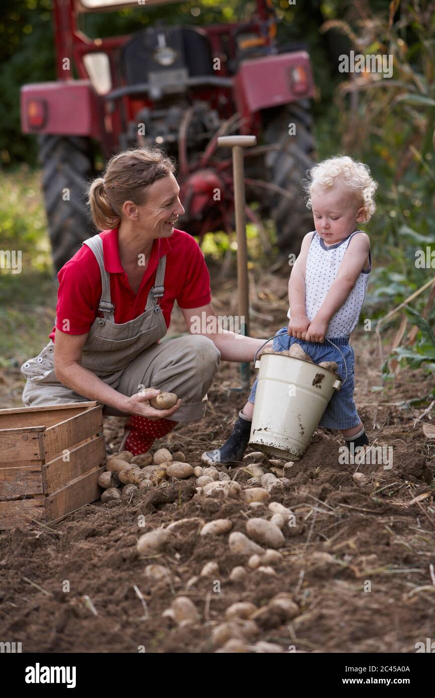 Mother and son harvest potatoes Stock Photo - Alamy
