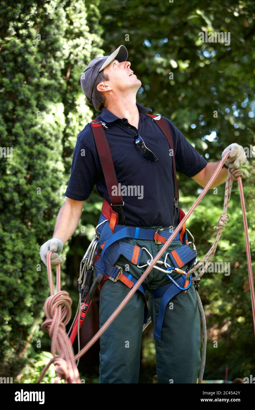 Lumberjack at work Stock Photo - Alamy