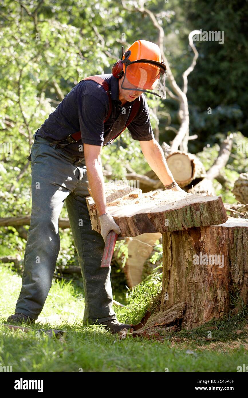 Lumberjack at work Stock Photo - Alamy