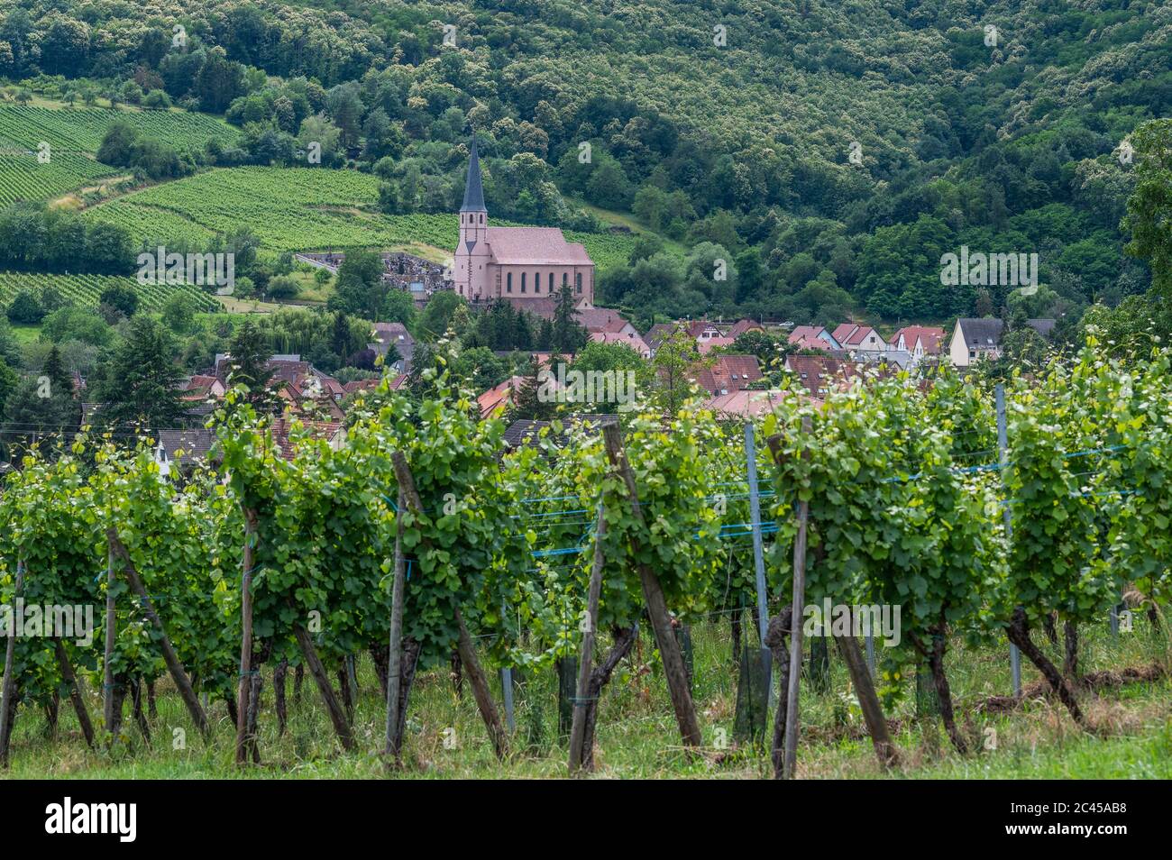 Andlau, Alsace, France Stock Photo - Alamy
