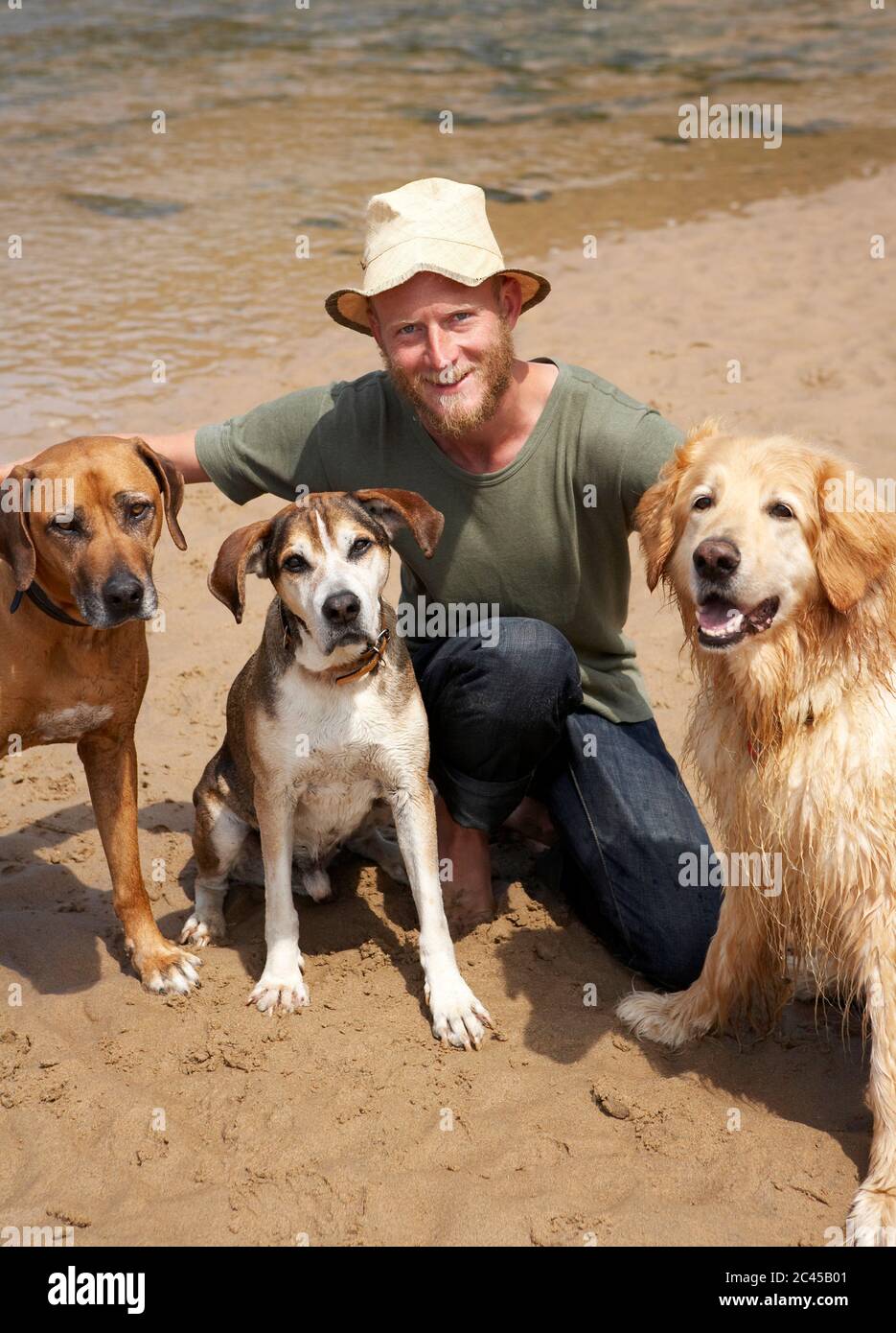 Man with three dogs hi-res stock photography and images - Alamy