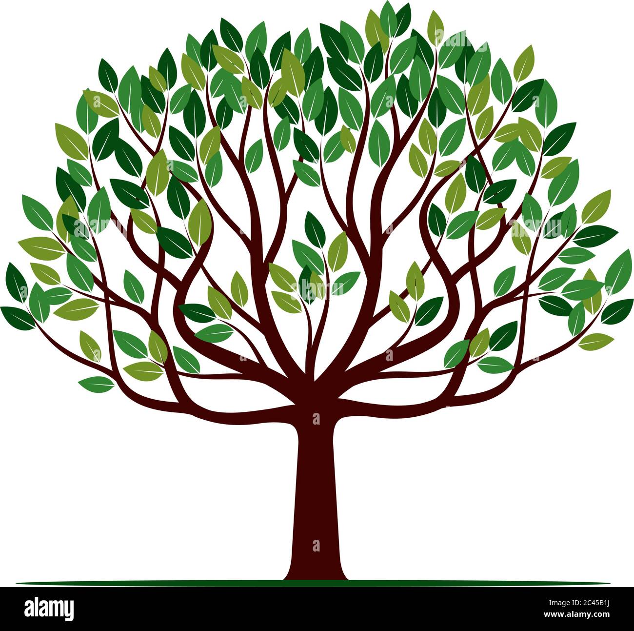 Cartoon Tree With Branches And Roots