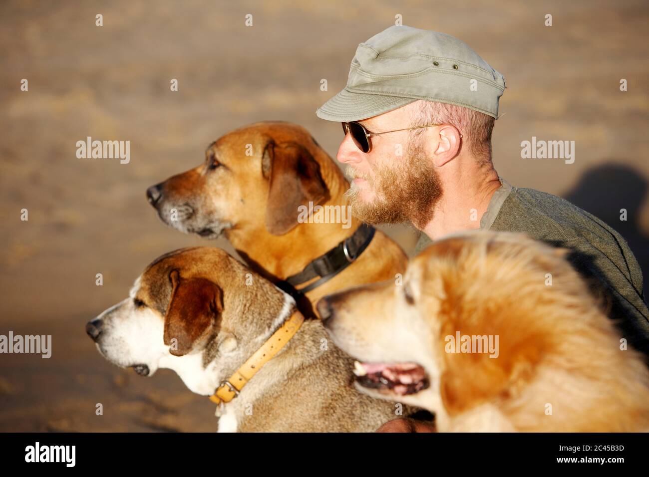 Man with three dogs hi-res stock photography and images - Alamy