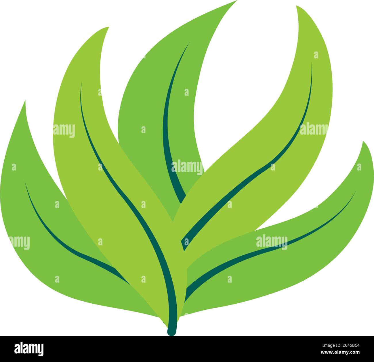 bay leaves icon over white background, flat style, vector illustration ...