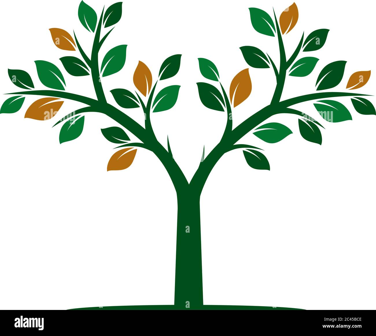 Colour Tree of Life with Roots. Vector Illustration. Isolated object ...