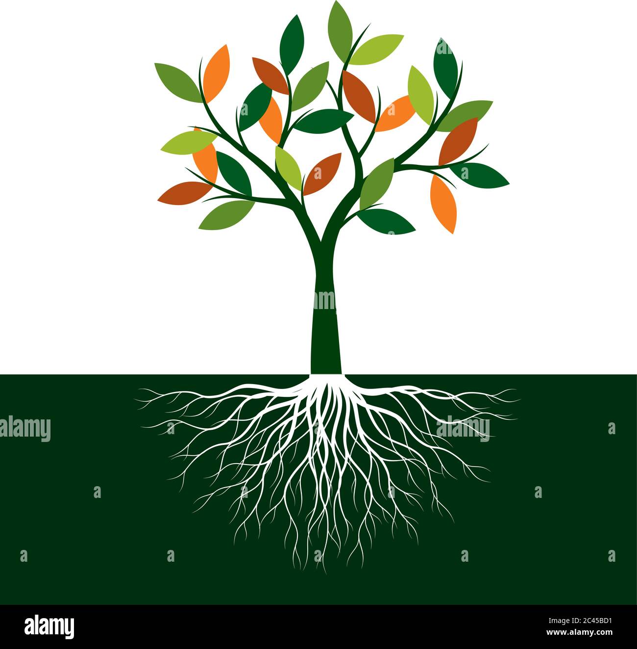 Underground tree Stock Vector Images - Alamy