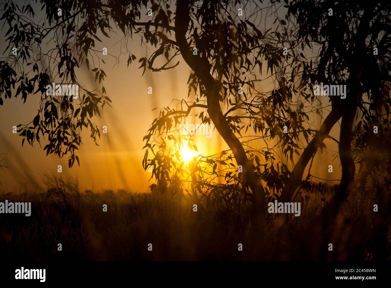 Sunset over rural area in Newman, Australia Stock Photo - Alamy