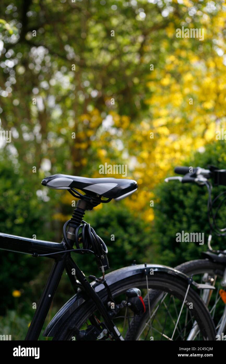 Black bicycle saddle hi-res stock photography and images - Alamy
