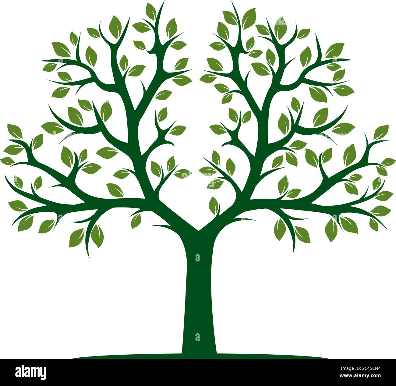 Tree Of Life Clipart