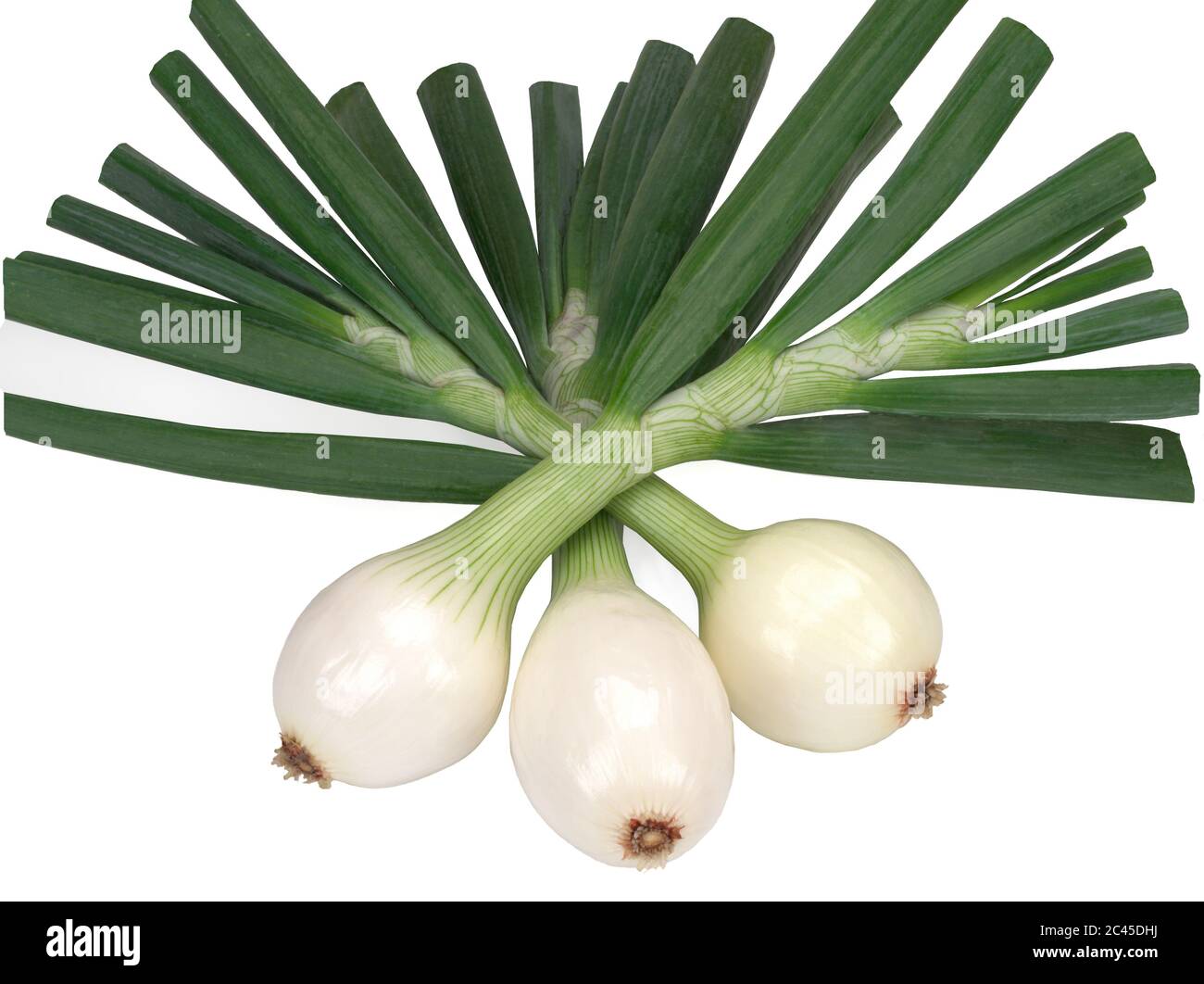 Napiform hi-res stock photography and images - Alamy