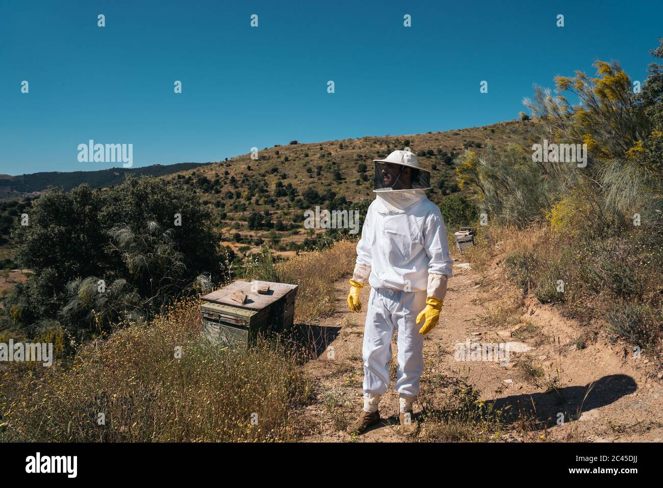 Beekeeper holding a bees hive on his back to harvest honey. Beekeeping ...