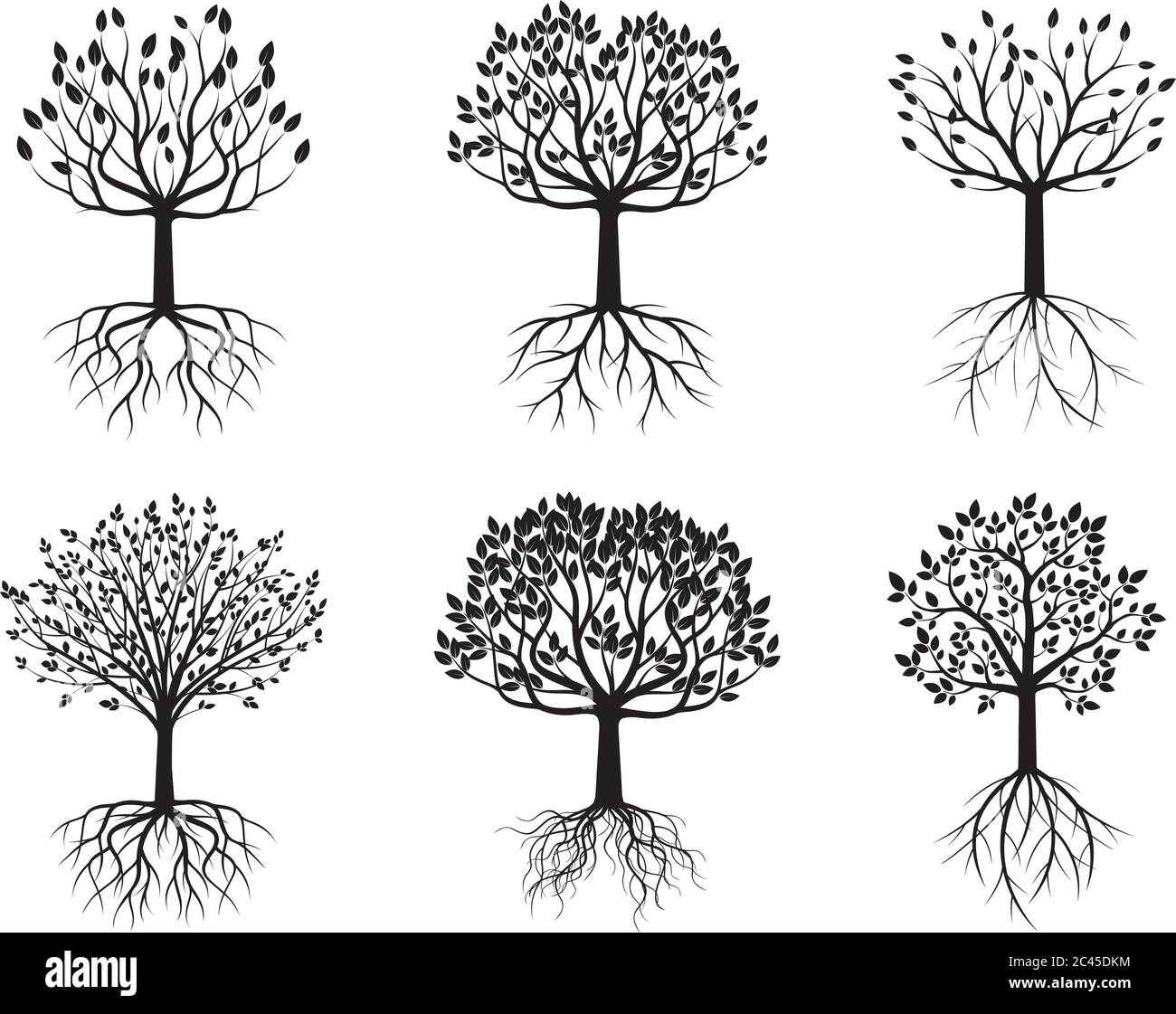 Black Tree of Life. Vector Illustration. Isolated object. Collection of ...