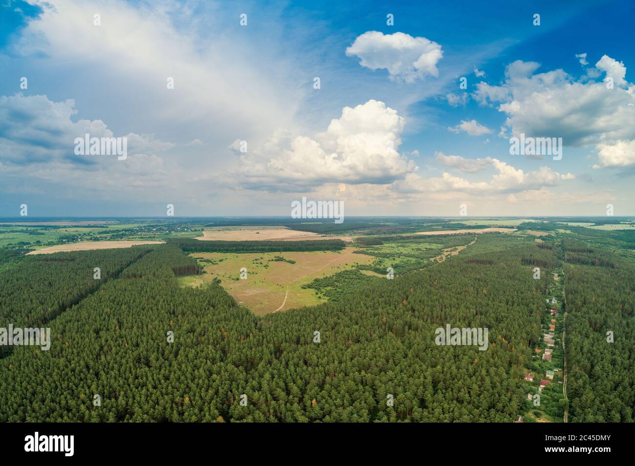 Rural landscape, aerial view, skyview of countryside and pine forest ...