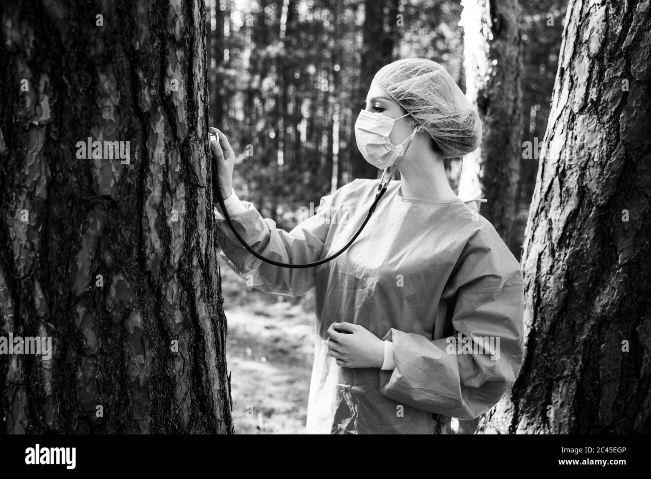 Female doctor examines tree using stethoscope wearing medical mask and ...