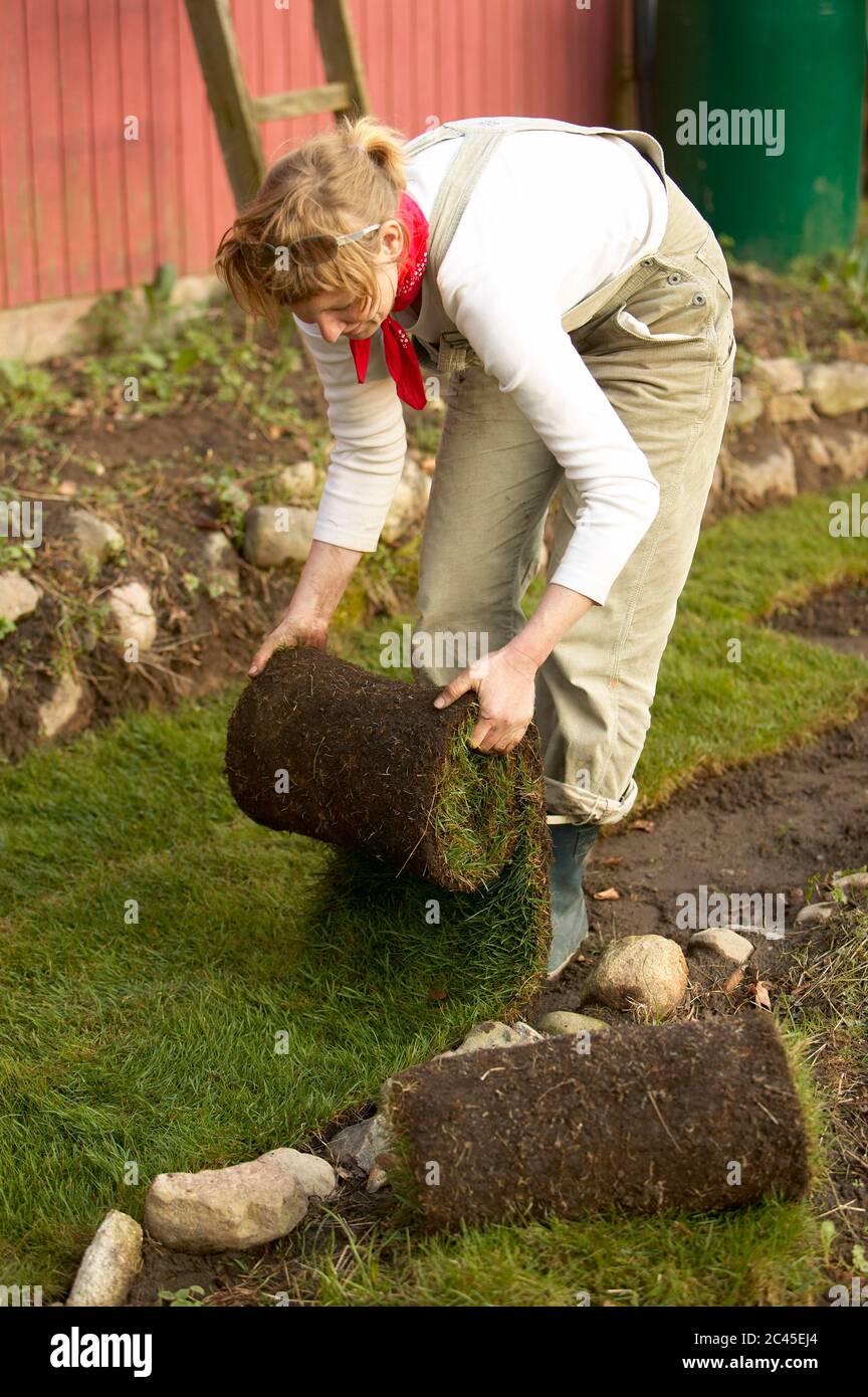 Woman is laying turf in the garden Stock Photo - Alamy
