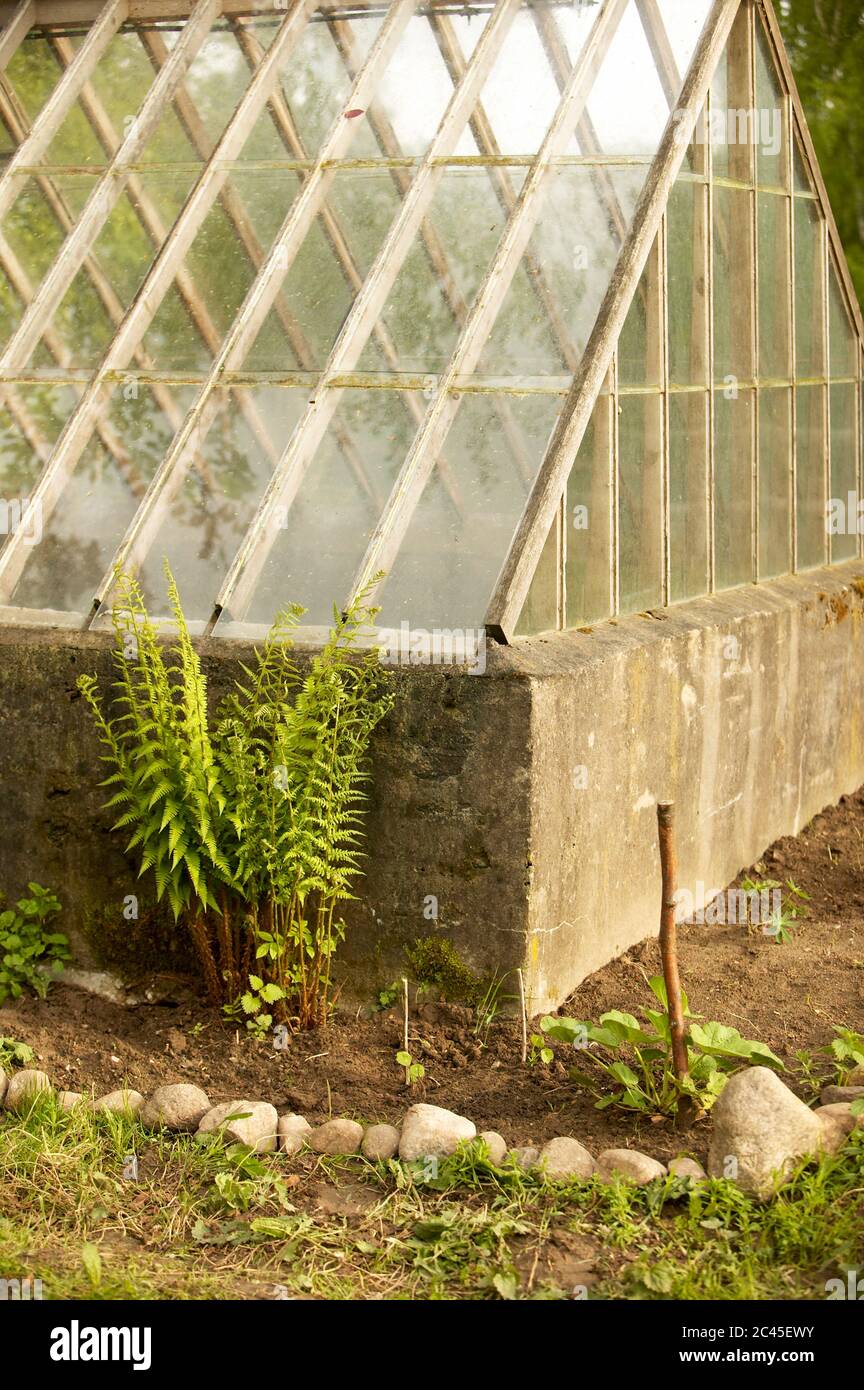 Greenhouse in the spring Stock Photo - Alamy