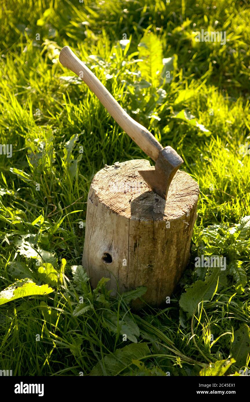 Chopping block with hatchet Stock Photo - Alamy