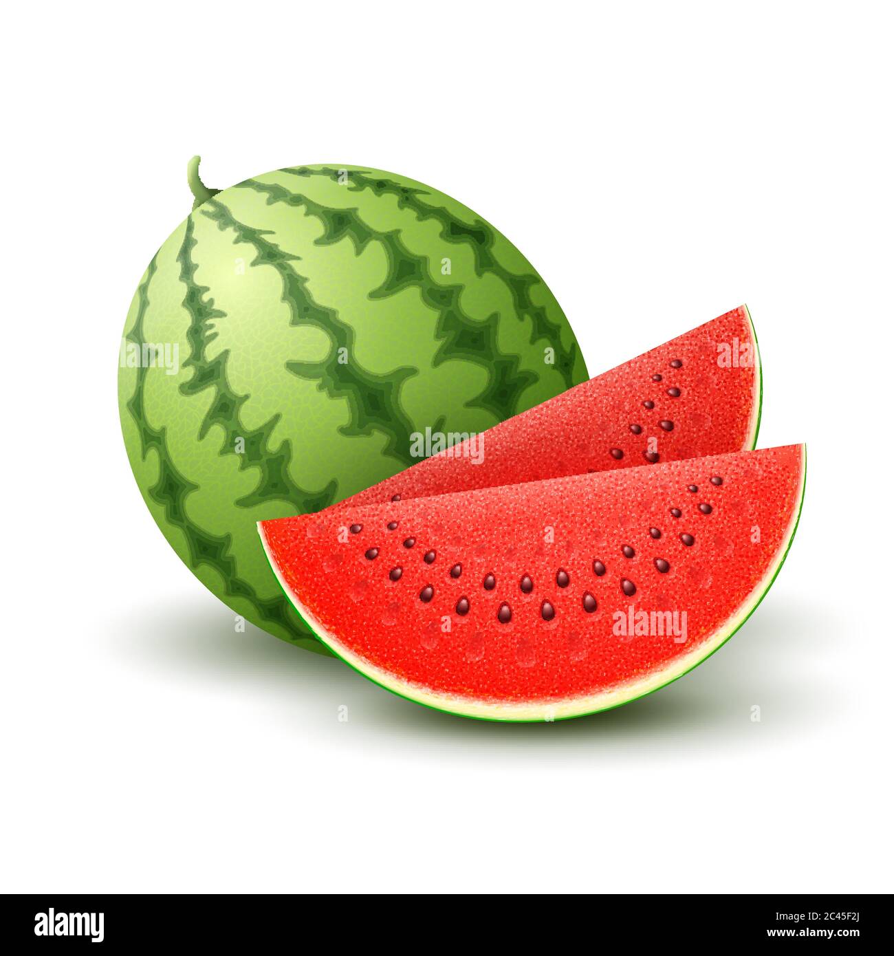 Vector Realistic Watermelon Stock Vector Image & Art - Alamy