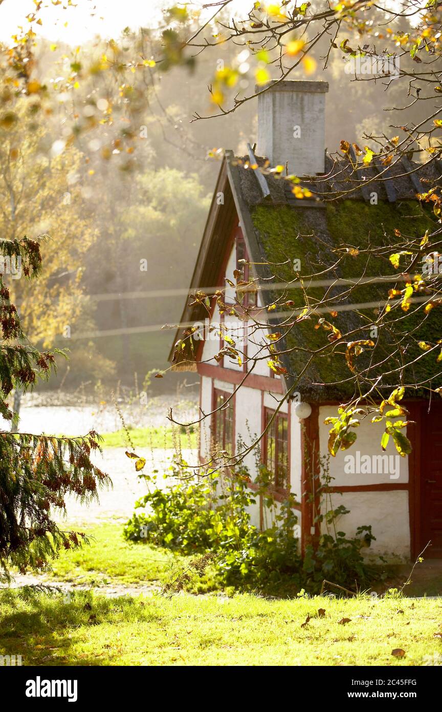 Half-timbered farmhouse, Denmark Stock Photo - Alamy