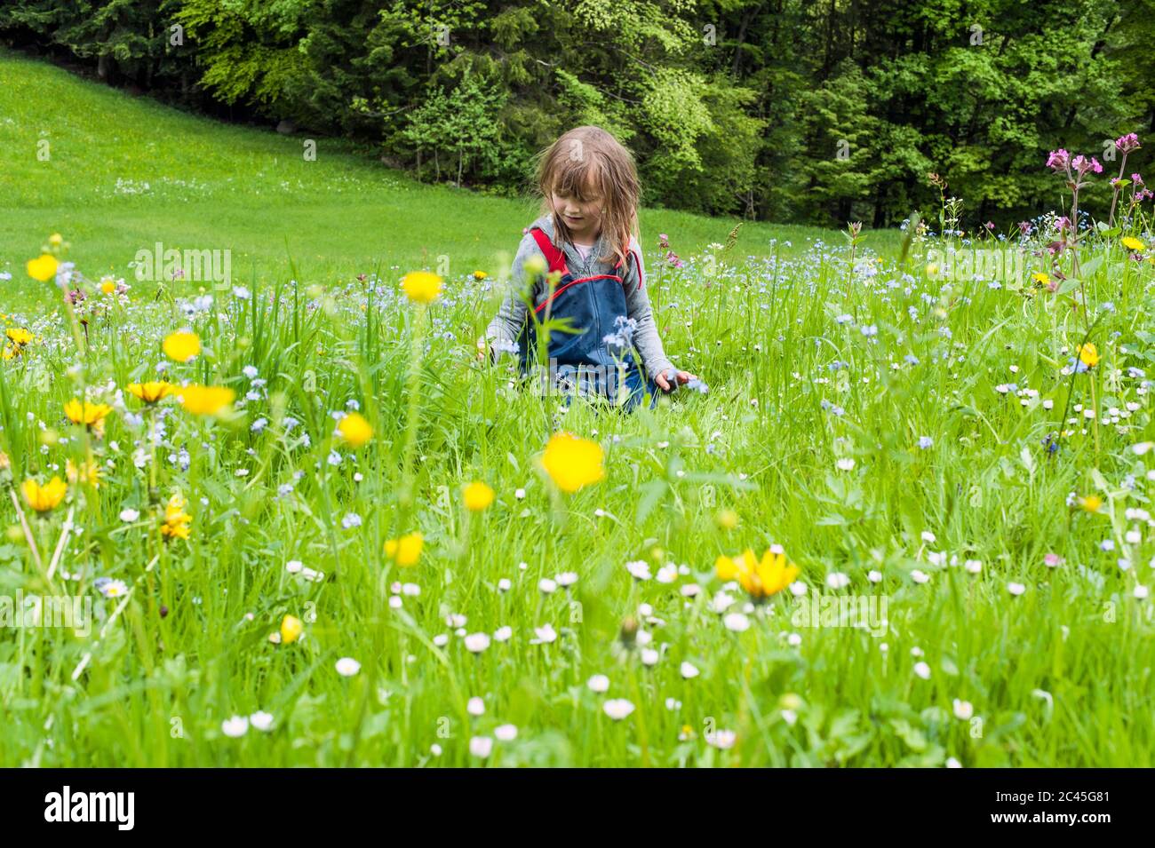 Children in mountain environment hi-res stock photography and images ...