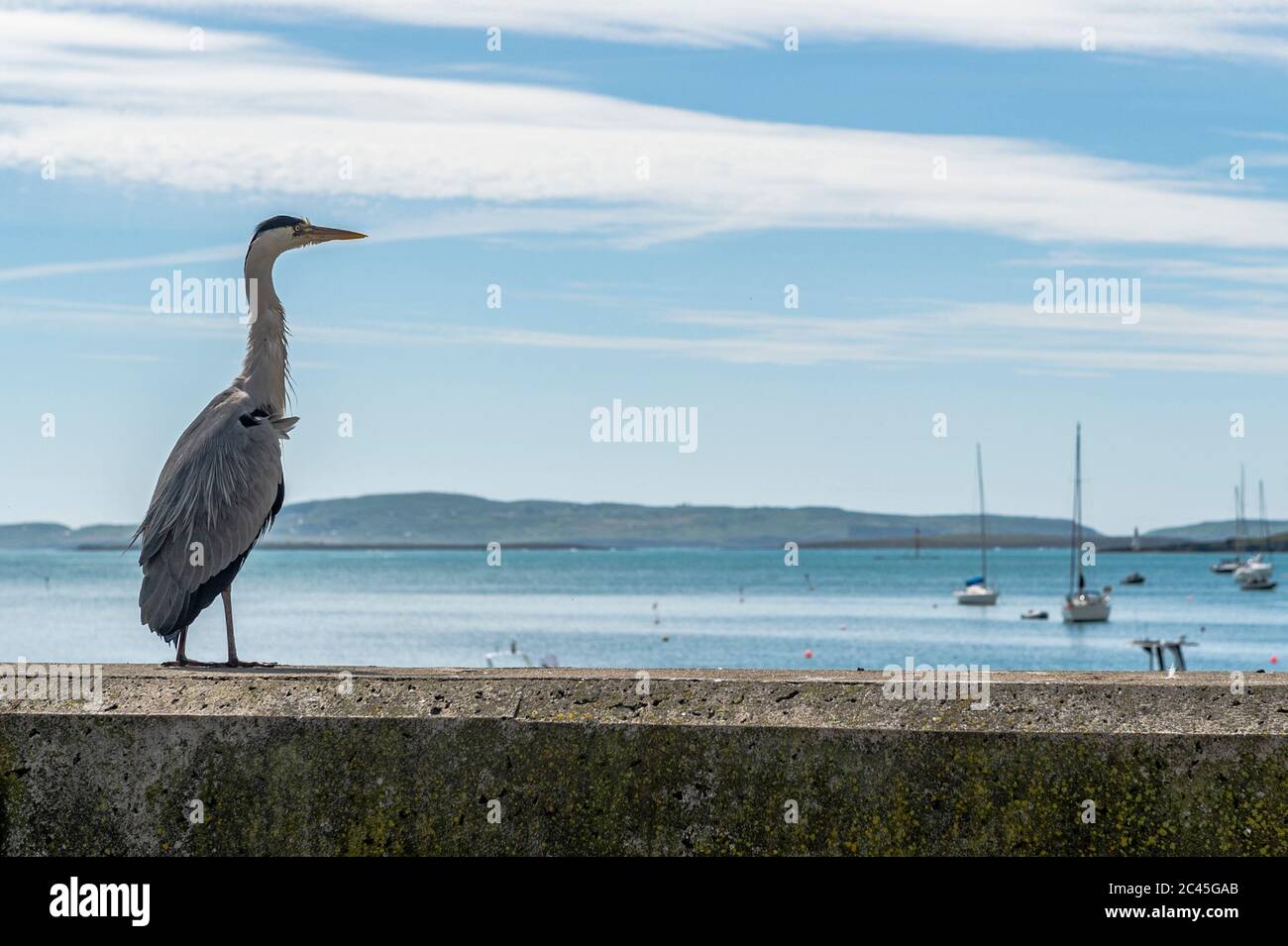 Schull, West Cork, Ireland. 24th June, 2020. Schull is basking in ...