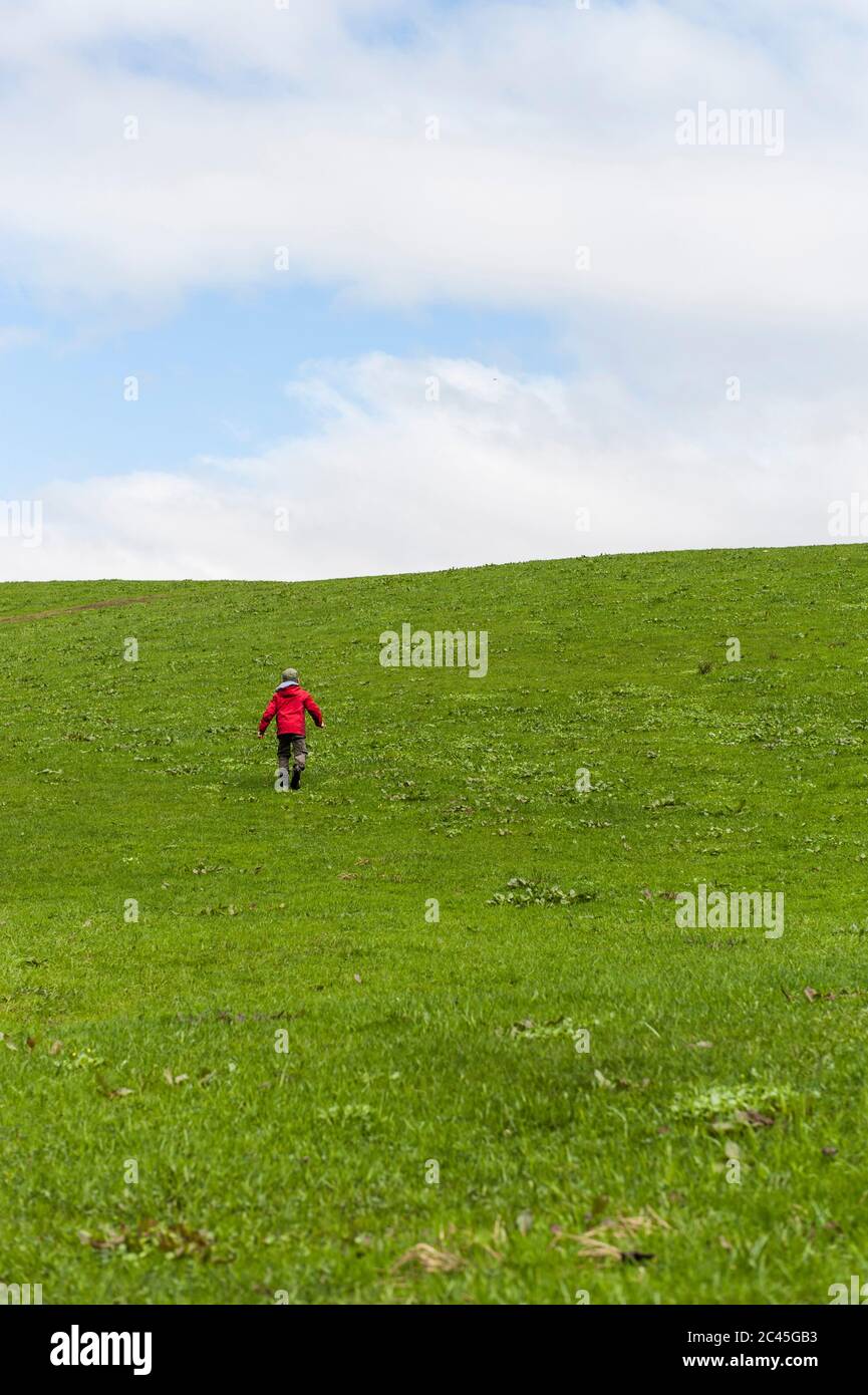 Boy walks in a mountain meadow Stock Photo - Alamy