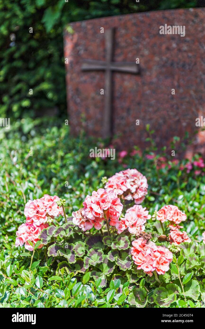 Flowers and gravestone in a cemetery Stock Photo - Alamy