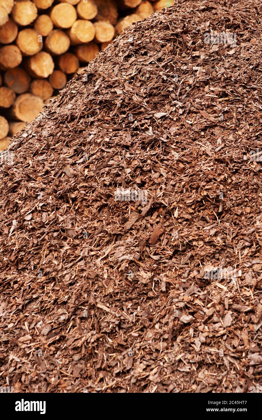 Stack of logs and chips in a sawmill Stock Photo - Alamy