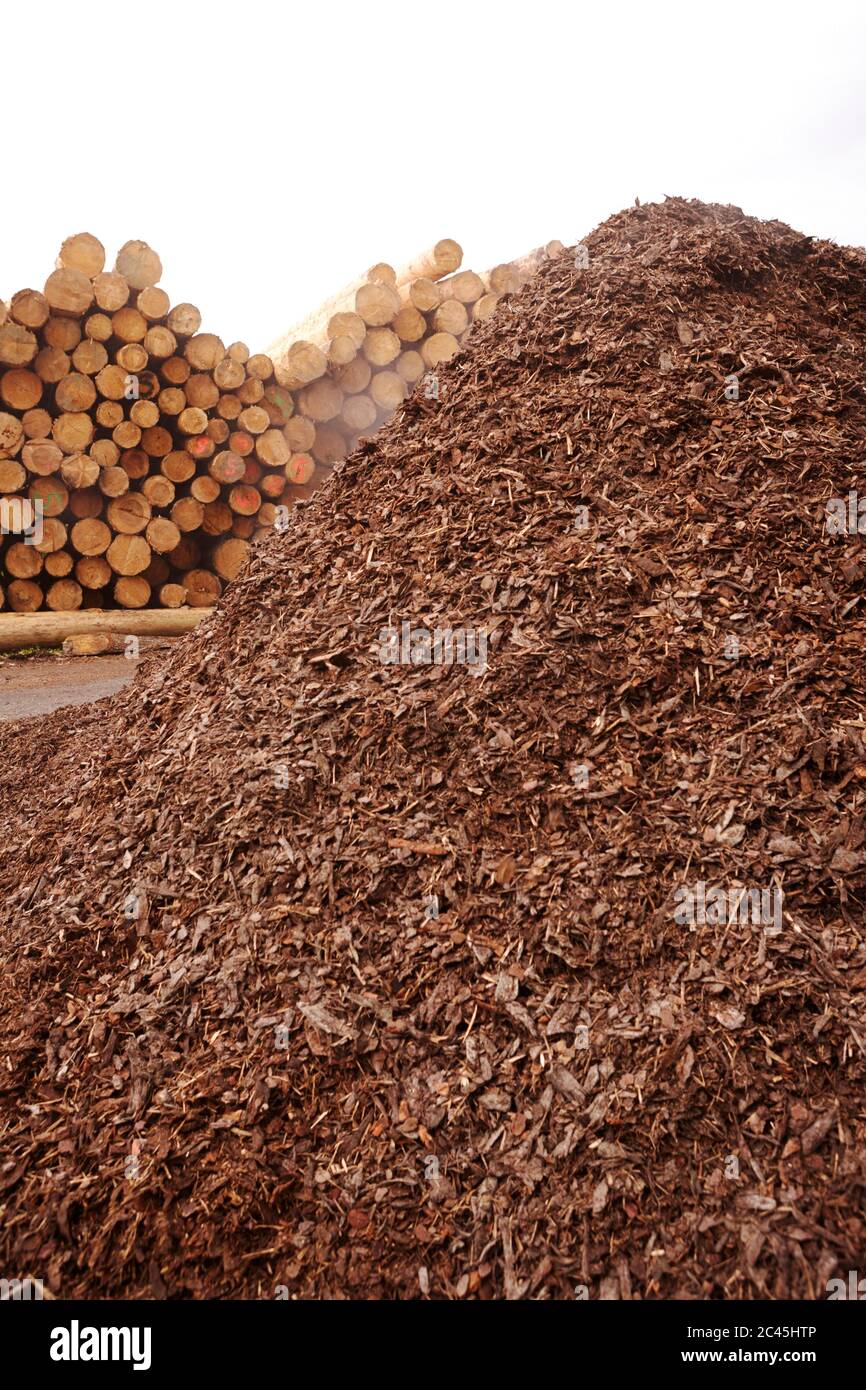 Stack of logs and chips in a sawmill Stock Photo - Alamy