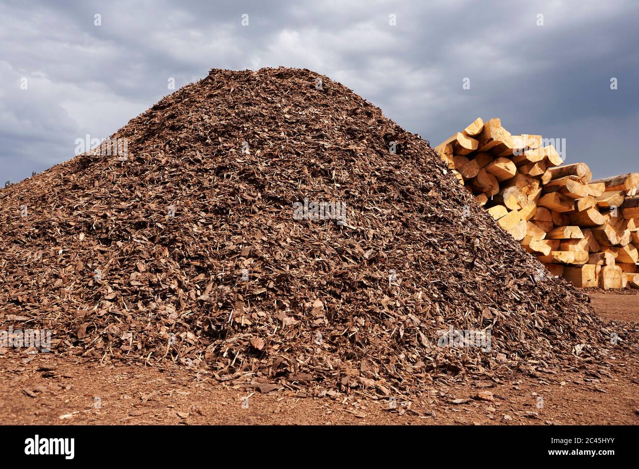 Stack of logs and chips in a sawmill Stock Photo - Alamy