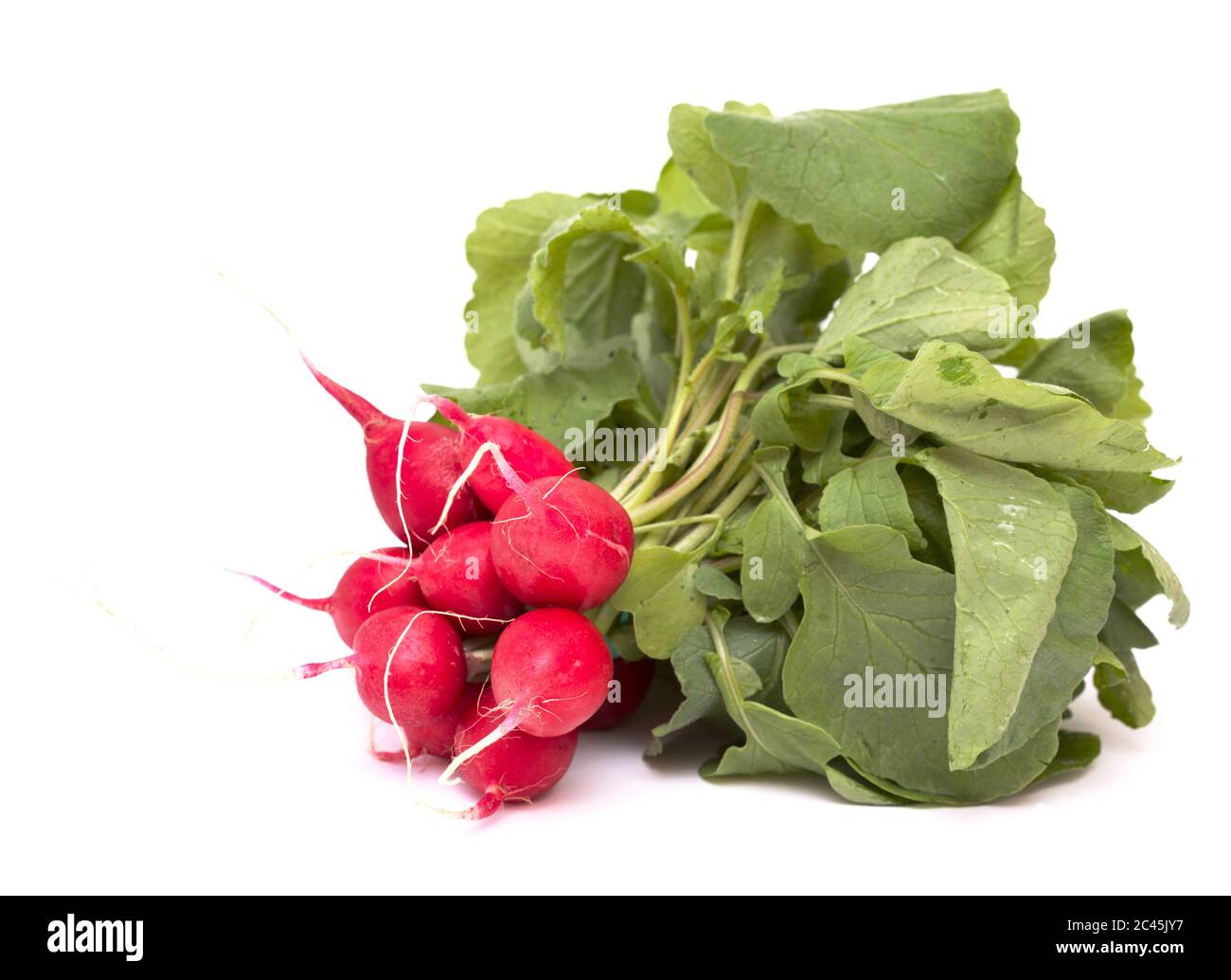 fresh red radish isolated on white background Stock Photo - Alamy